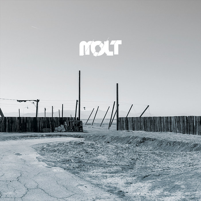 Molt | MOLT | Molt