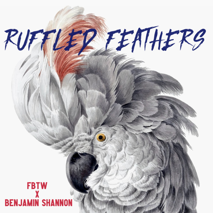 Ruffled Feathers | Flightless Birds Take Wing