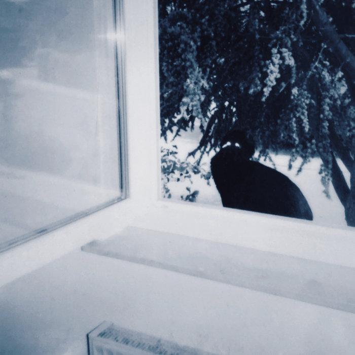 A Whimsical Winter Debut | lucaspaducas