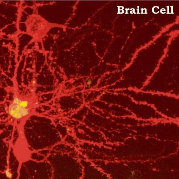 The Brain Cell (EP) 2011 | The Brain Cell