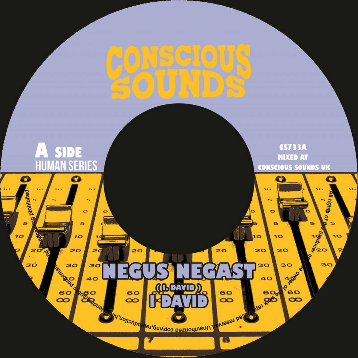Negus Negast I David Human Series | conscious sounds