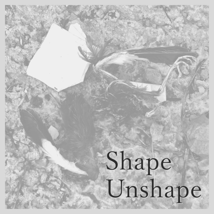 Shape Unshape | Evan Sparks