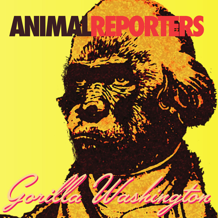 Gorilla Washington | Animal Reporters