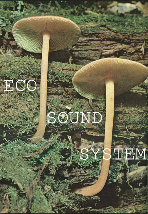 Eco(Sound)System | PMCQ