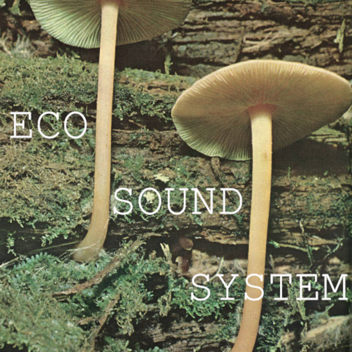 Eco(Sound)System | PMCQ