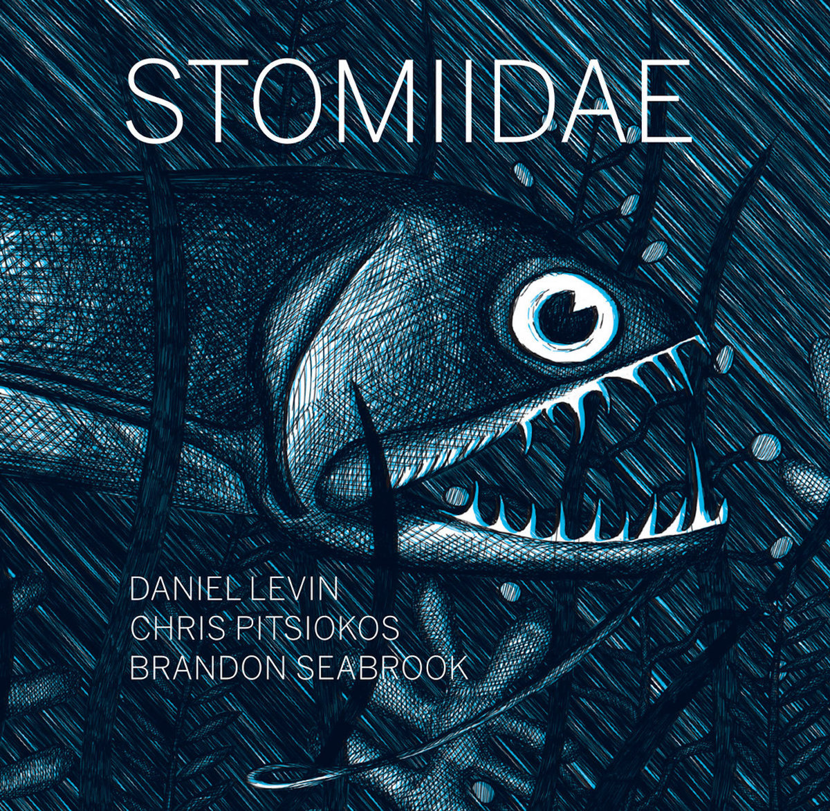 Stomiidae