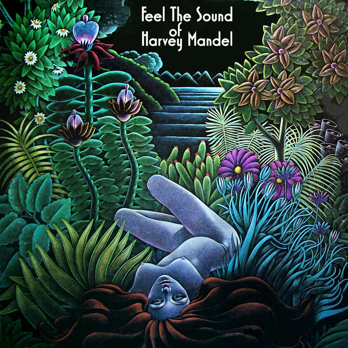 Feel the Sound of Harvey Mandel | Harvey Mandel