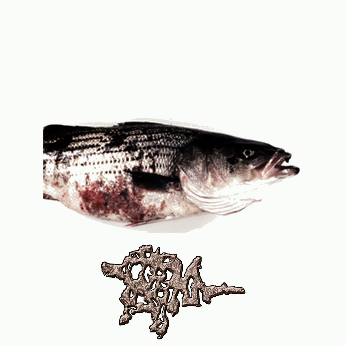 EP | Mycobacterium marinum