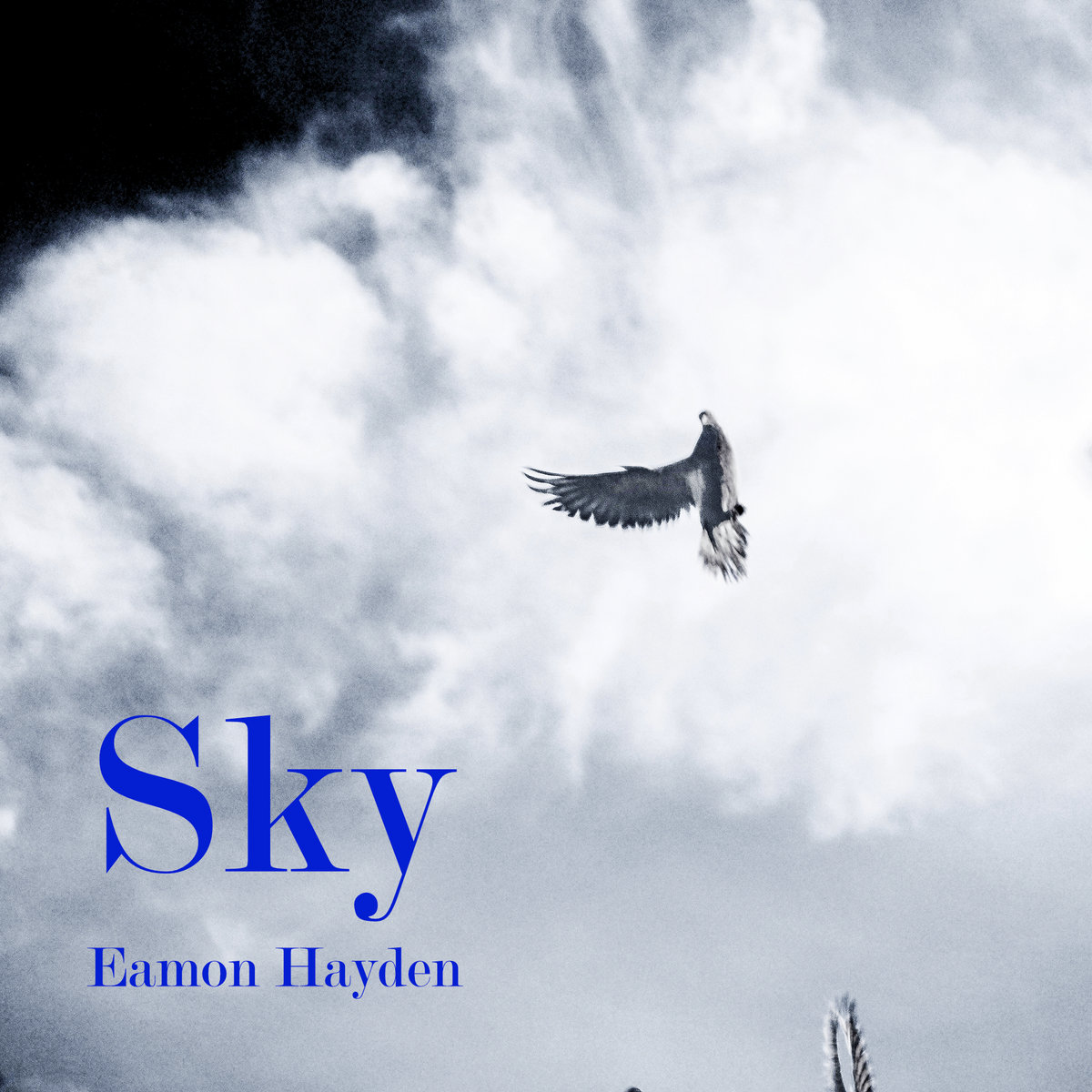 Sky | Eamon Hayden