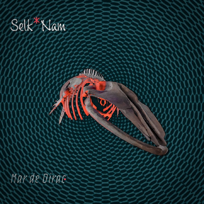 Mar de Dirac | Selk*Nam