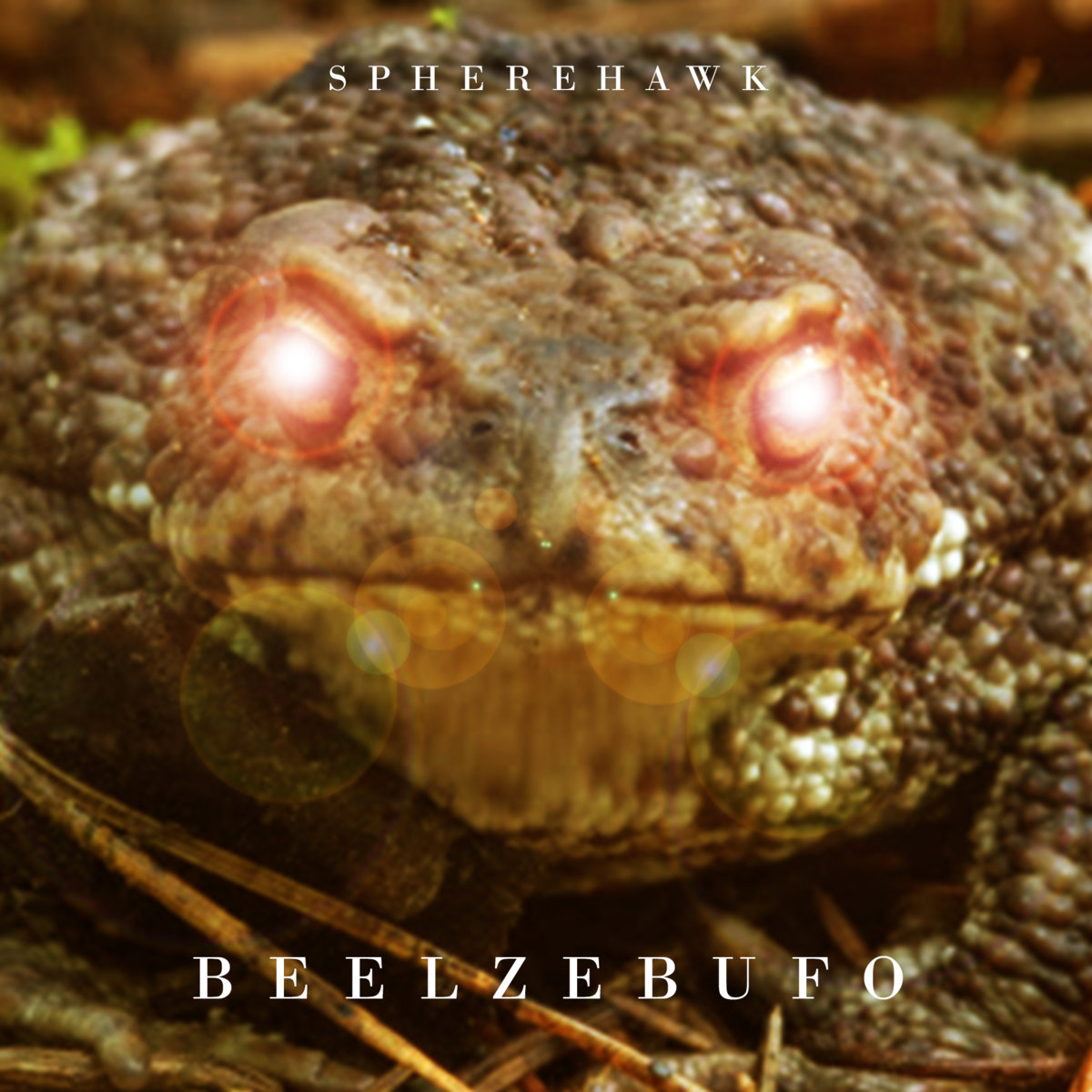 Beelzebufo Devil Frog