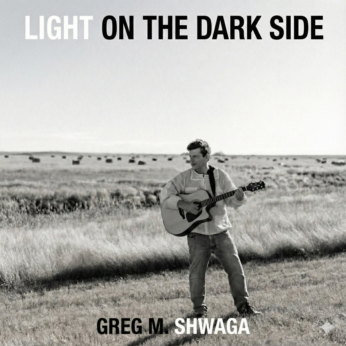 Light On The Dark Side | Greg M. Shwaga