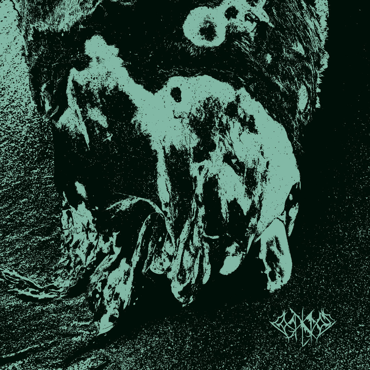 Coral Cross - 002 | Jorge Elbrecht