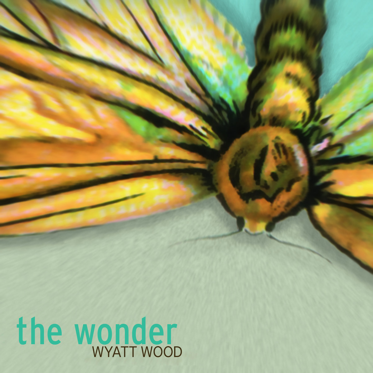 The Wonder | Wyatt Wood