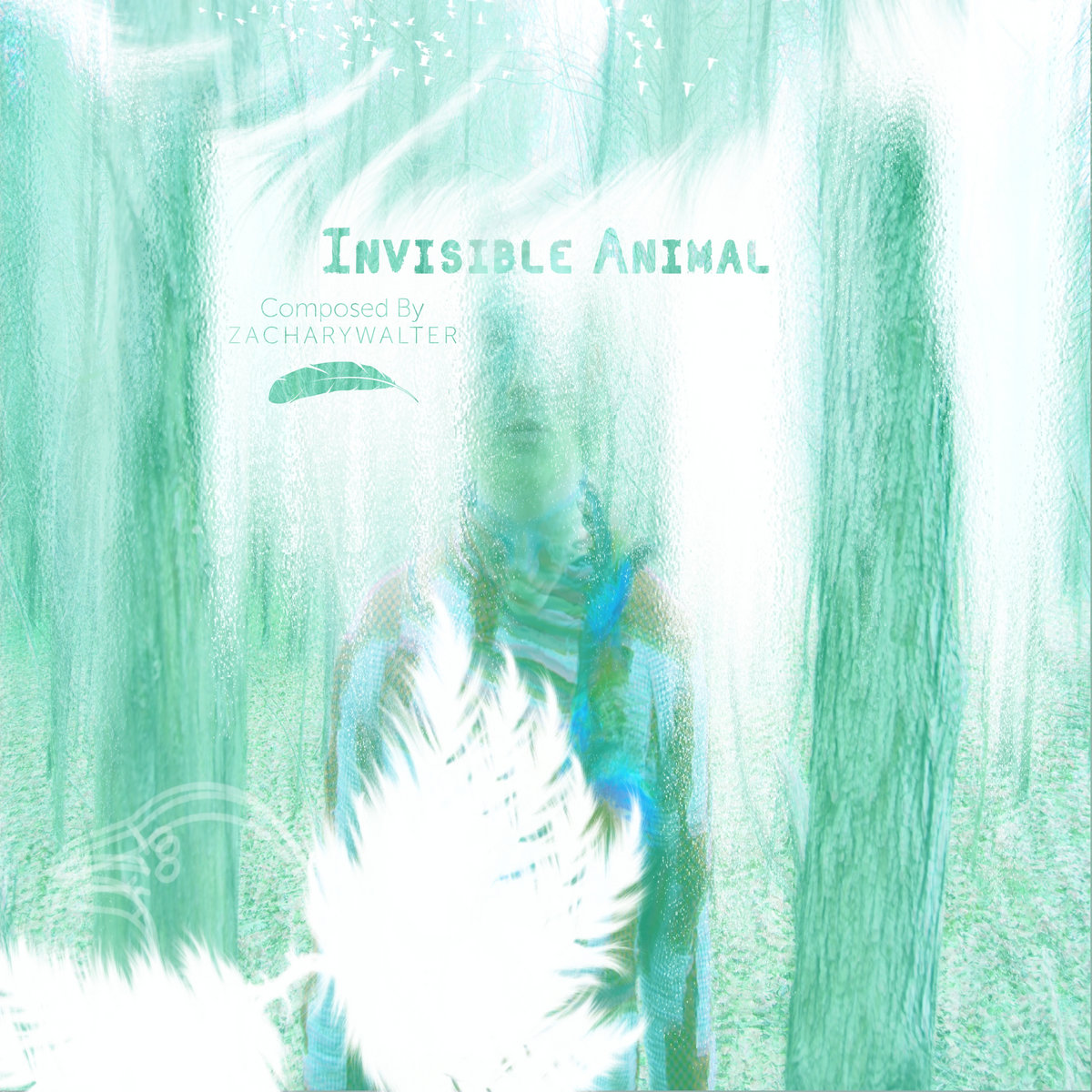 Invisible Animal |2024 Single & Kestrel String Quartet Live Performance ...