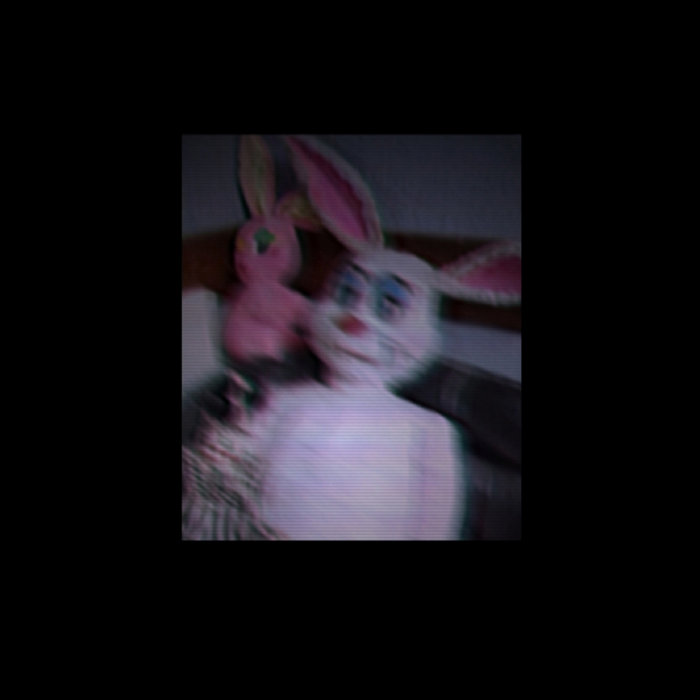 Follow The Rabbit | Mero Motu