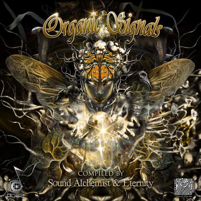 V/A Organic Signals (Compiled by Sound Alchemist & Eternity) | Psyunity ...