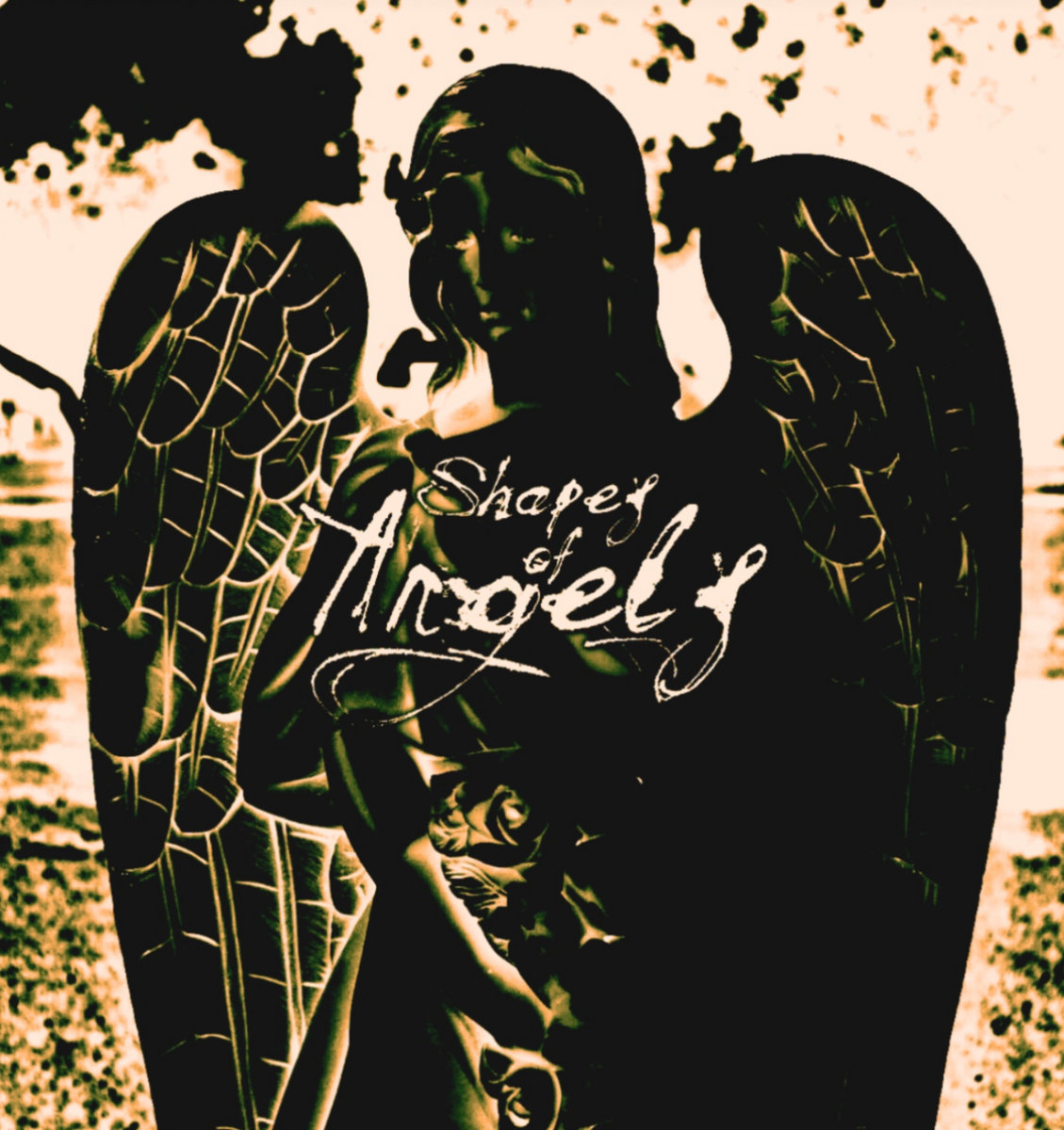 Presenting... | Shapes of Angels