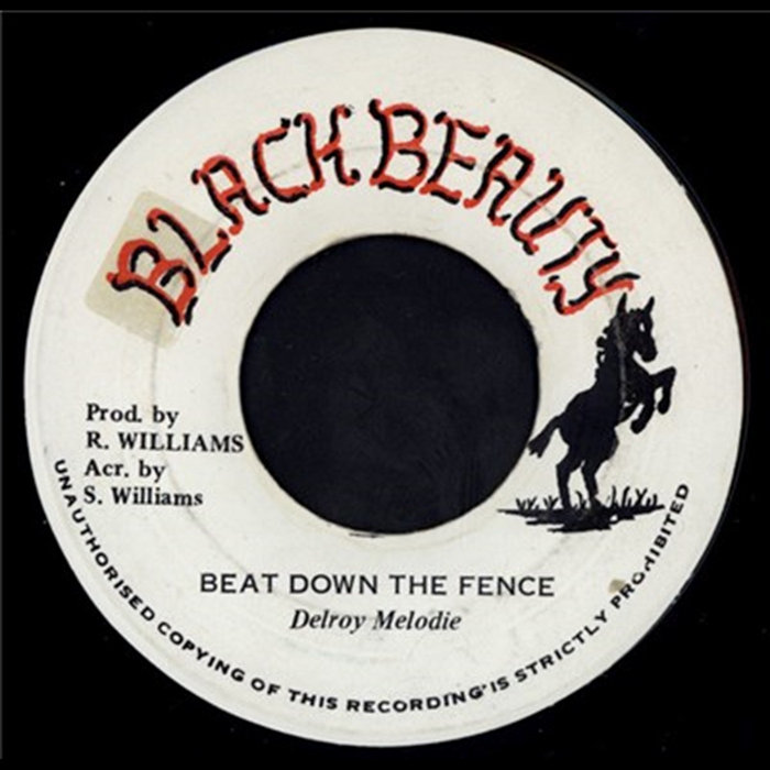 Beat Down The Fence | Delroy Melody