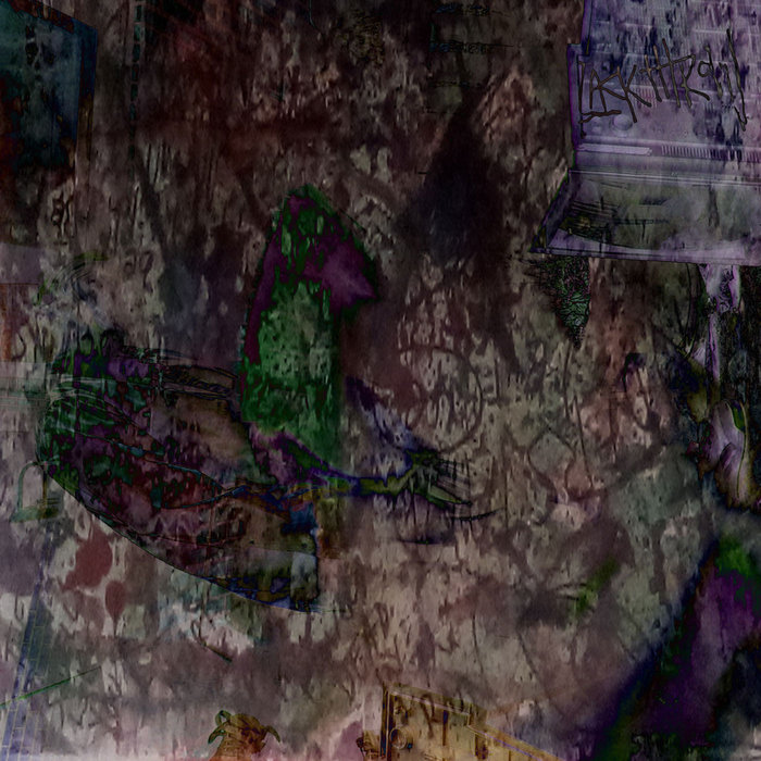 hearts are open-faced flowers, dead in the rain | Lackthrow