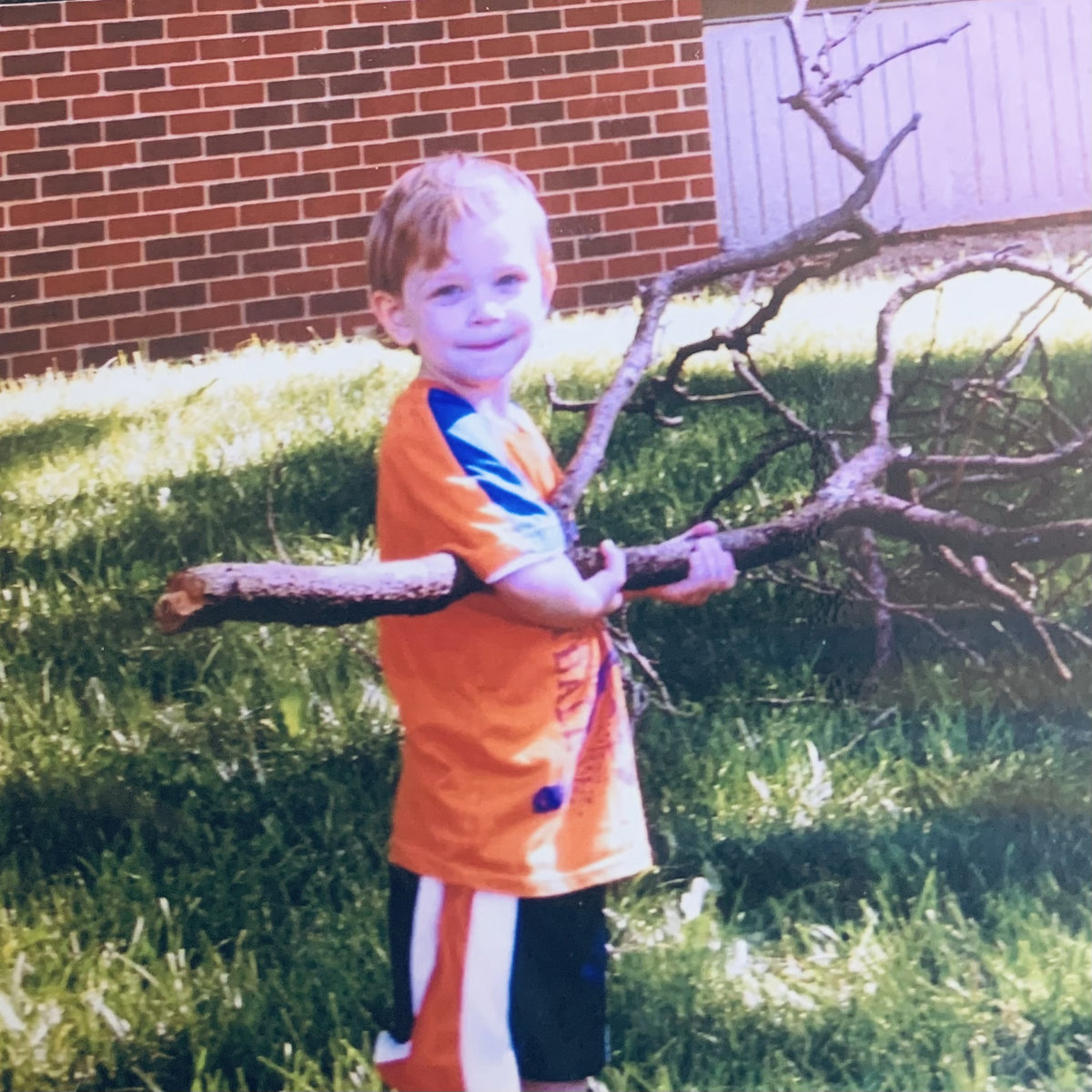 treehouse (alex g) | the worst best idea ever