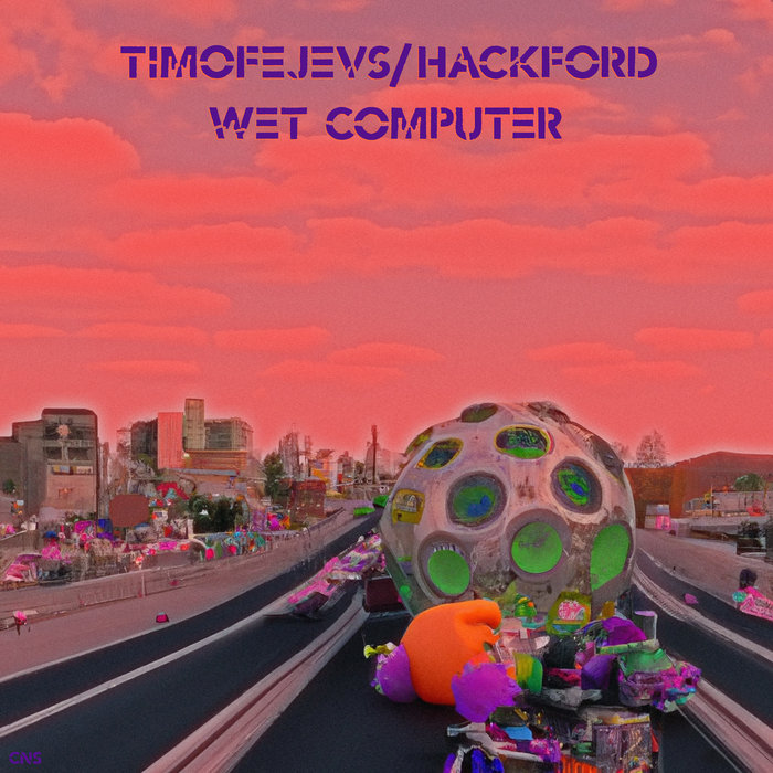 Wet Computer | Timofeev_Hackford | CNS