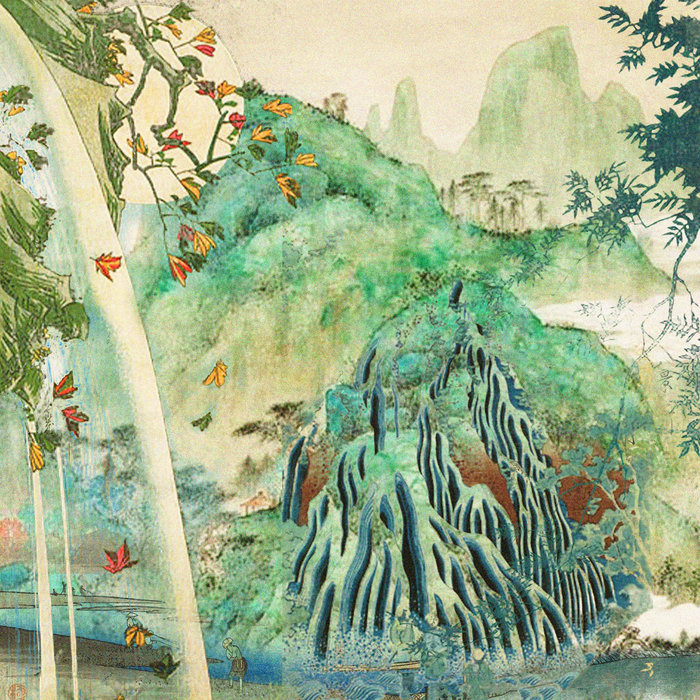 Scree Slope Through The Meadows | DRGNFLY