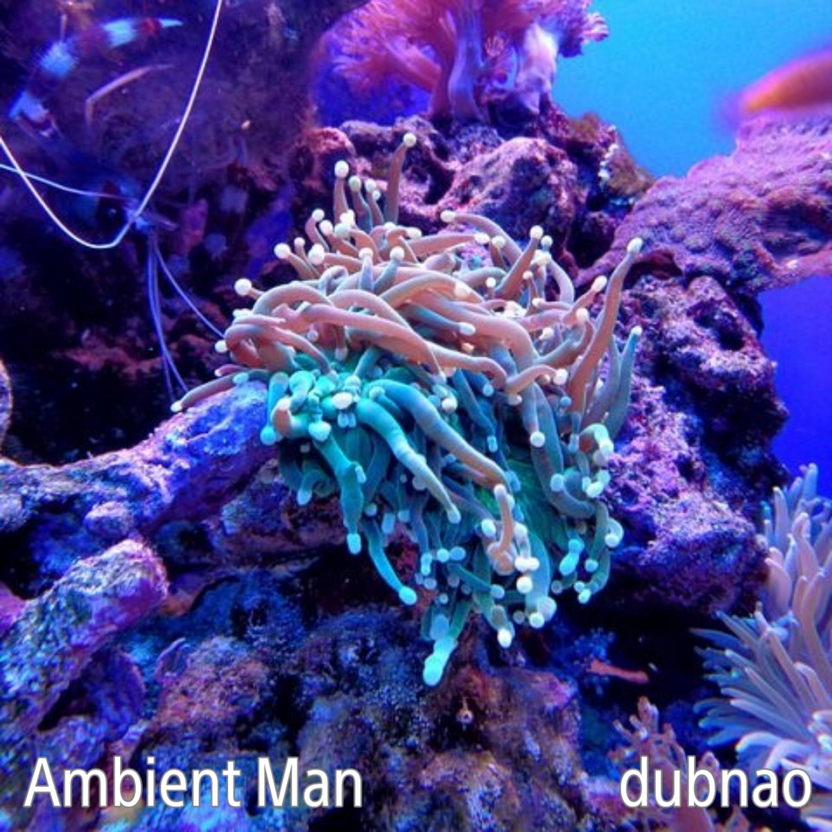 Ambient Man | dubnao