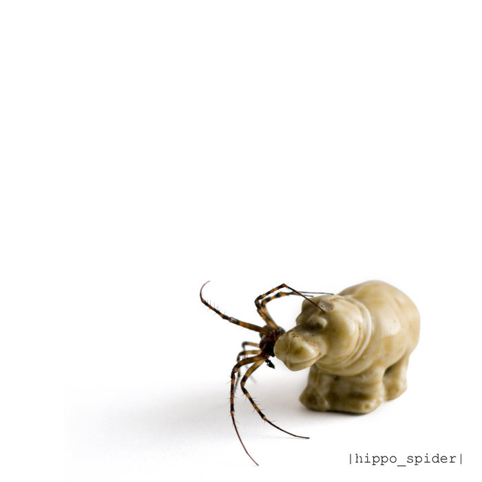 Hippo Spider e.p | Rosie