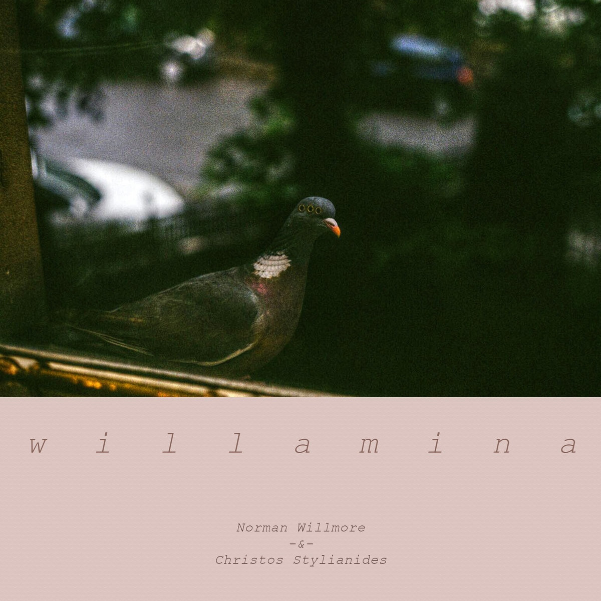 willamina | willamina