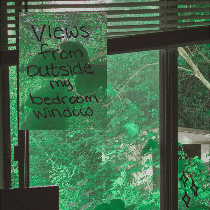 views from outside my bedroom window | austyn with a y