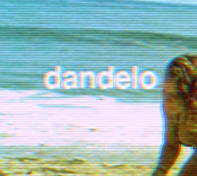 Dandelo | Dandelo