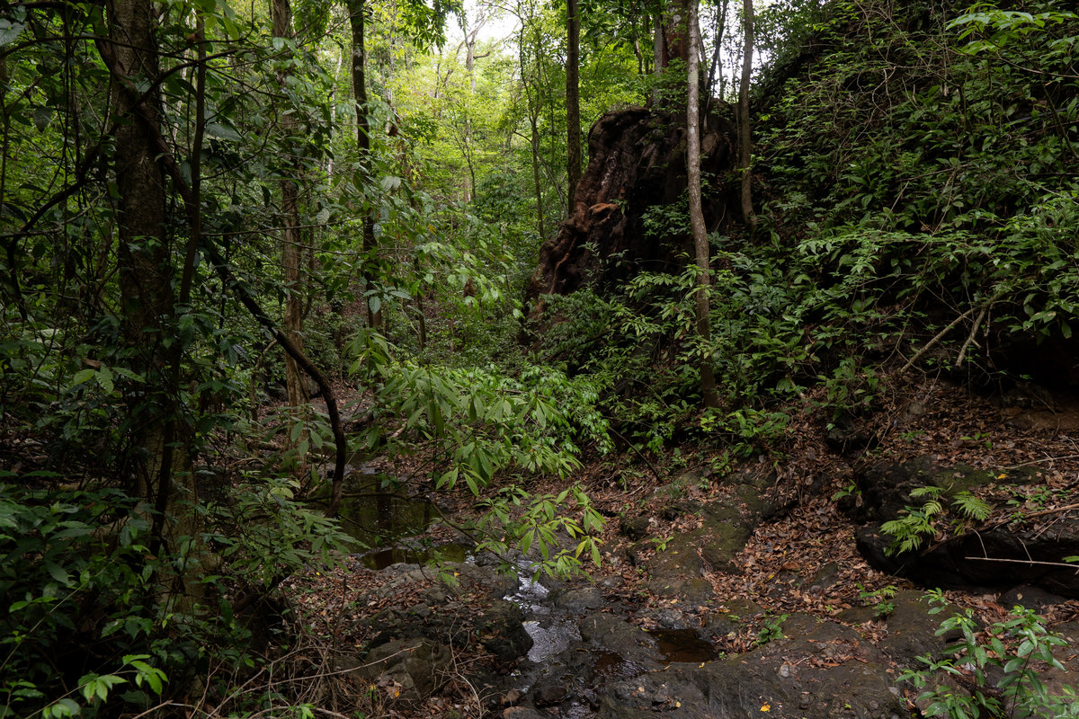Costa Rica - Las Monas - Translocalities | Hector Centeno
