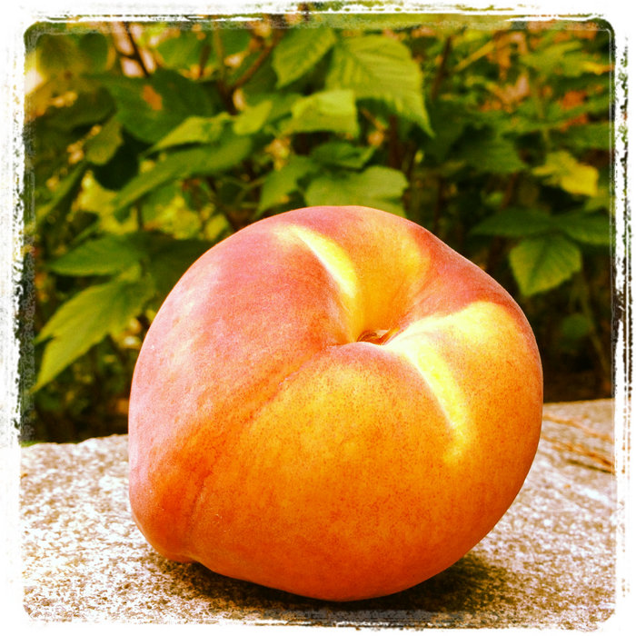 Naked | Eric Ostrowski