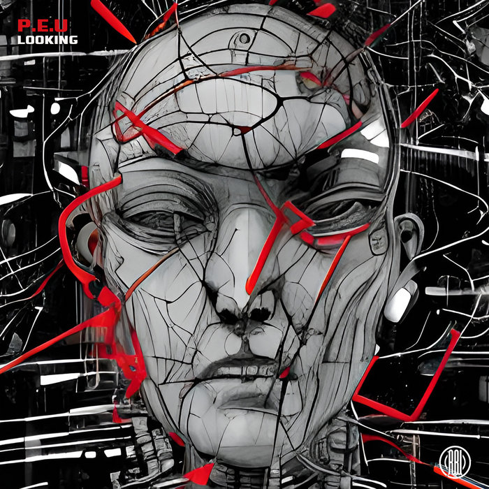 Looking | P.E.U | Reload Records