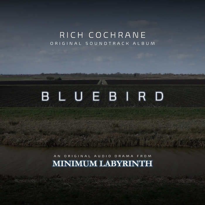 Bluebird: Original Soundtrack | Rich Cochrane