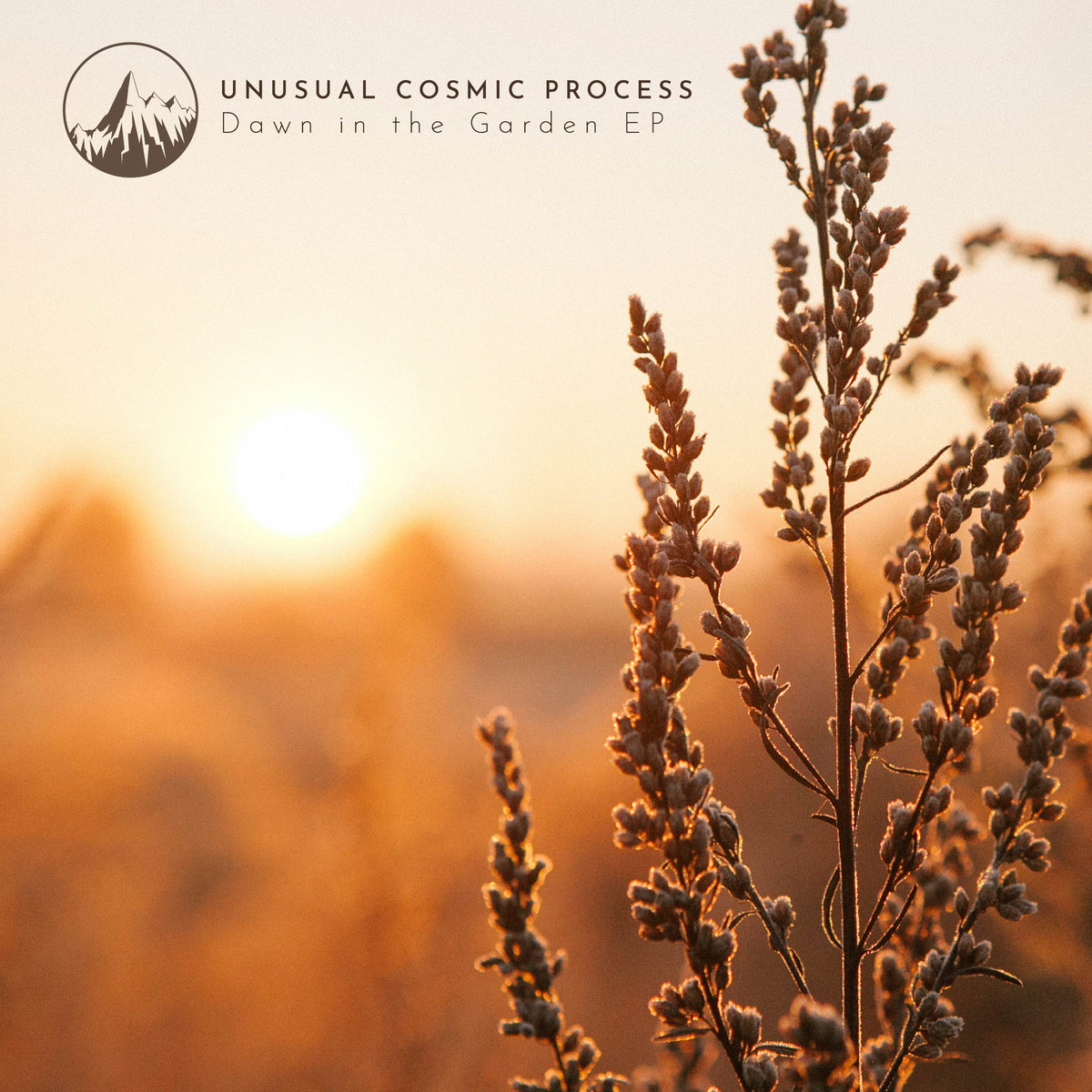 Dawn in the Garden | Unusual Cosmic Process | Ambient Soundscapes