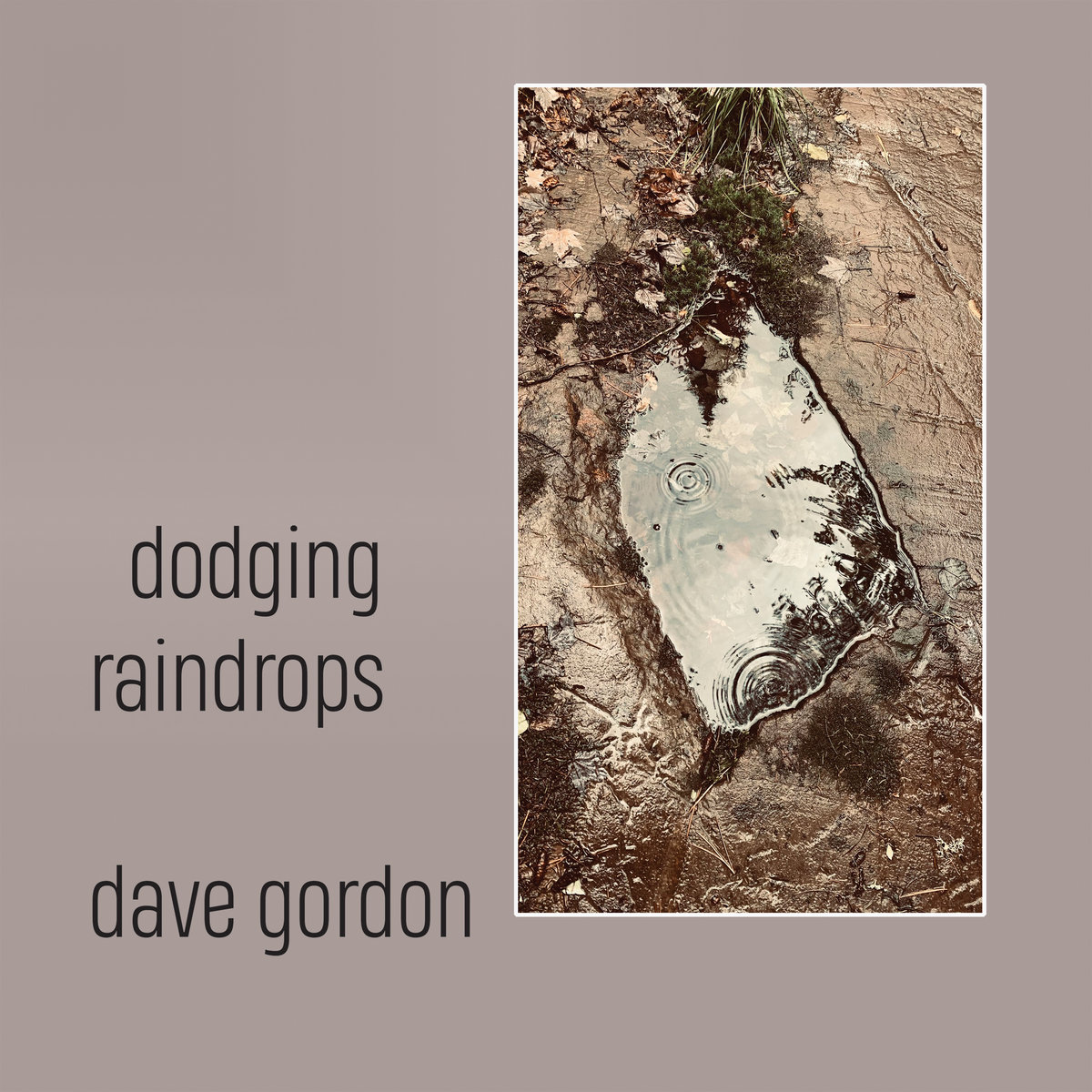 Dodging Raindrops | Dave Gordon | Dave Gordon Music