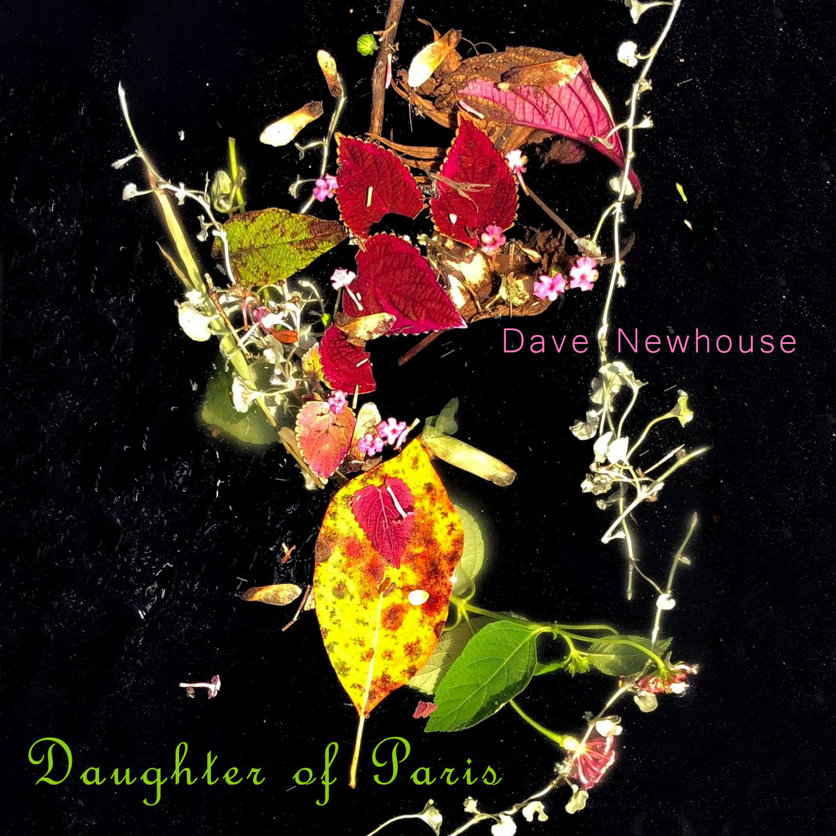 Daughter of Paris | Dave Newhouse