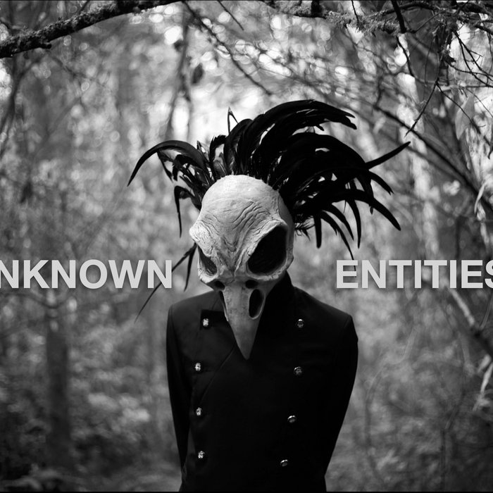 TAKE A TRIP WITH UNKNOWN ENTITIES | UNKNOWN ENTITIES