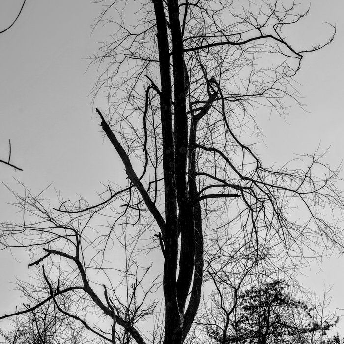 Only If You Die Indirect Transcendence