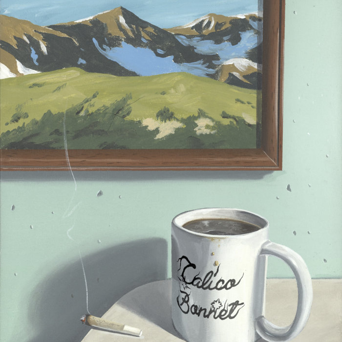 S/T II | Calico Bonnet