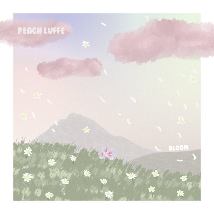 Bloom | Peach Luffe