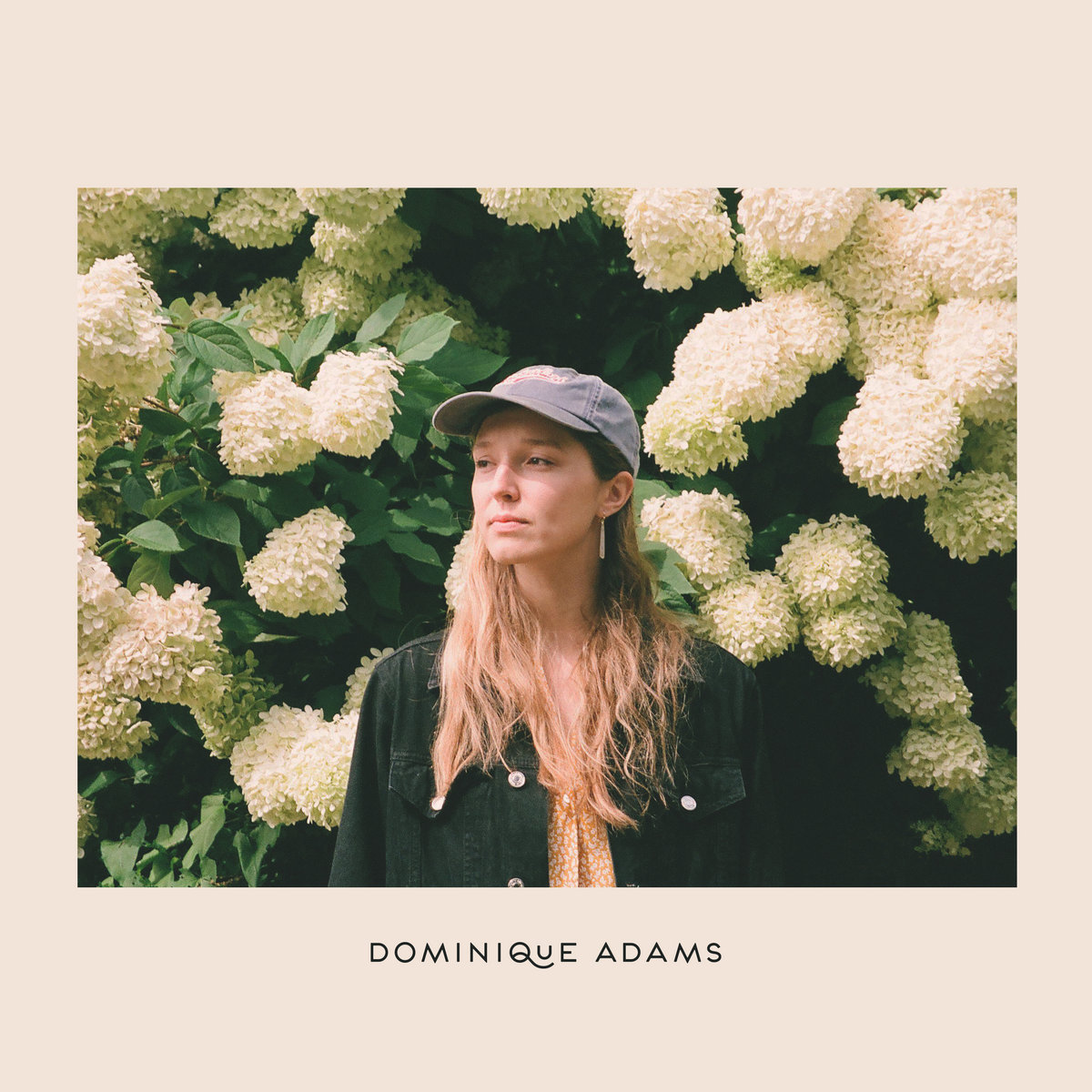 Dominique Adams | Dominique Adams