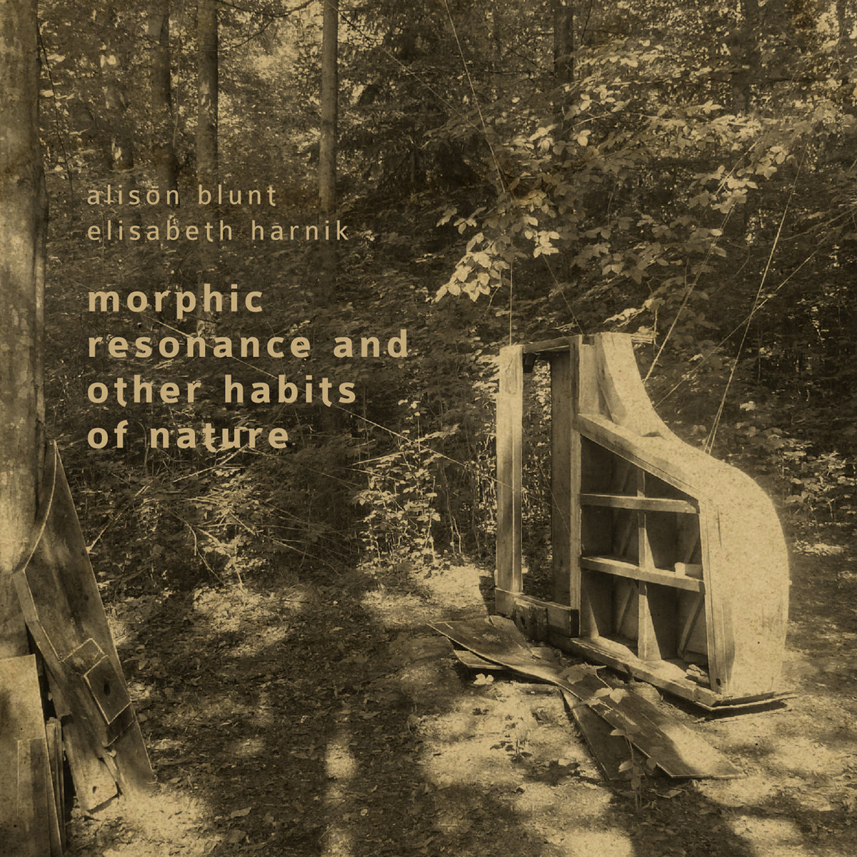 Morphic Resonance And Other Habits Of Nature | Alison Blunt / Elisabeth ...