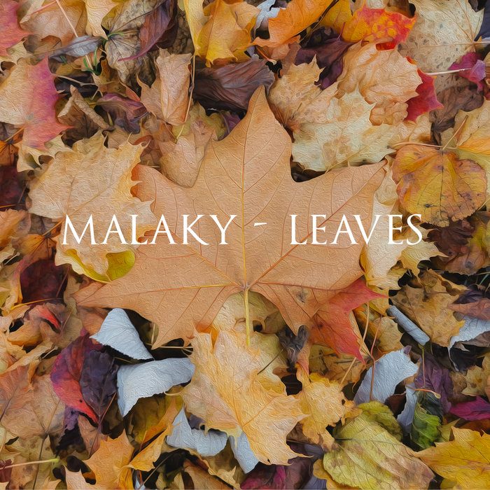 Leaves | Malaky