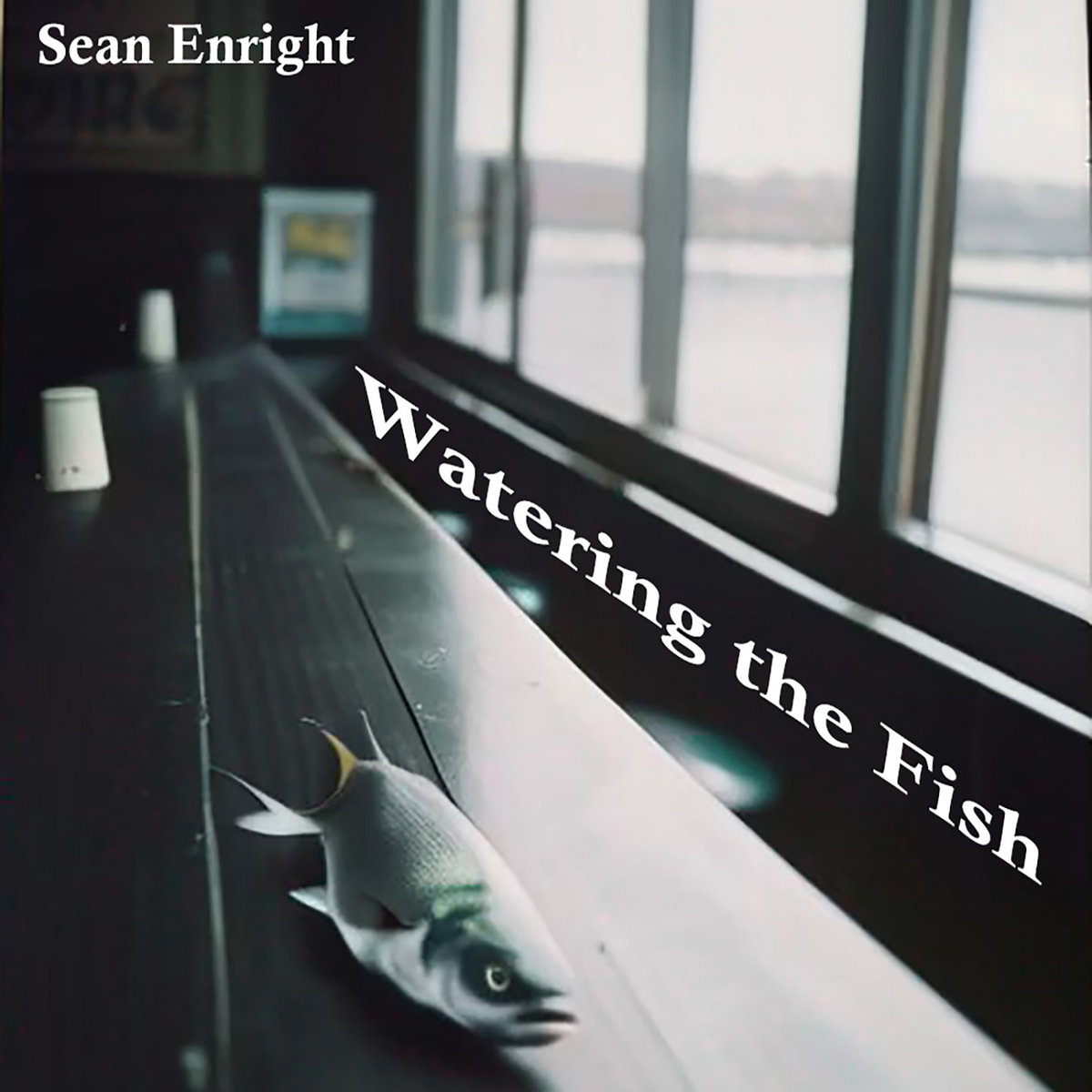 Watering The Fish | Sean Enright