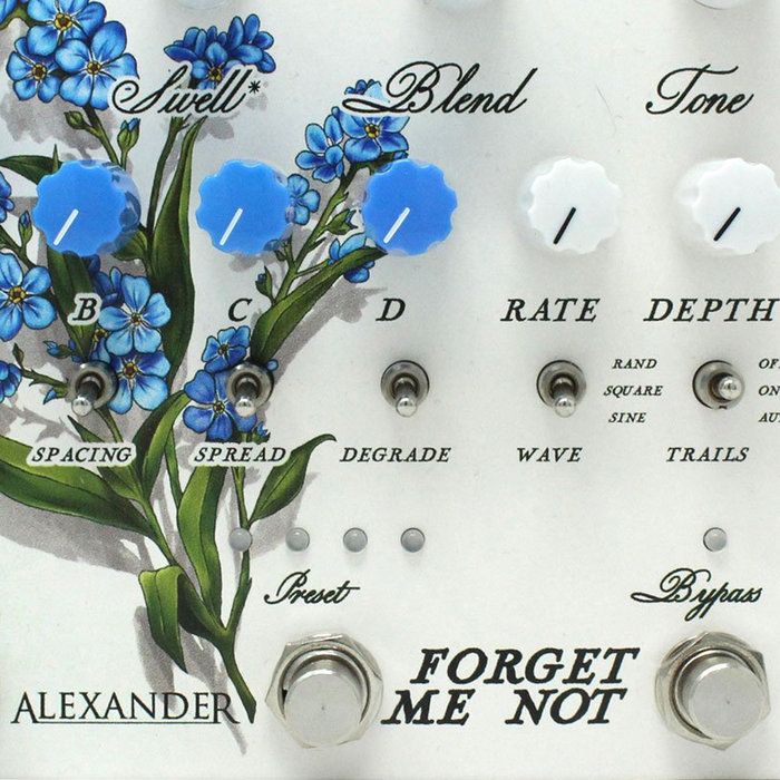 Forget Me Not | Emily Hopkins