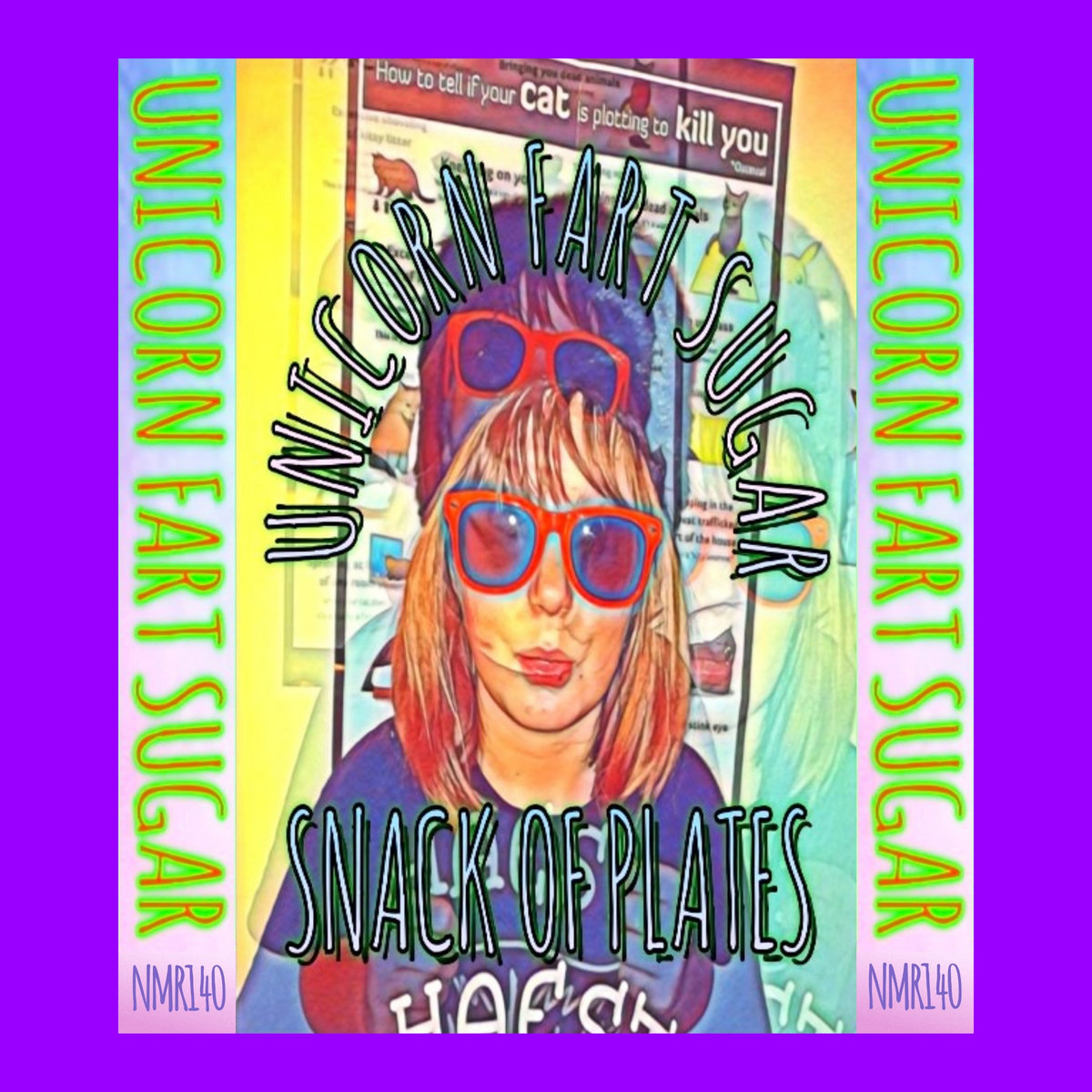 SNACK OF PLATES | UNICORN FART SUGAR | Noise Merchant Records