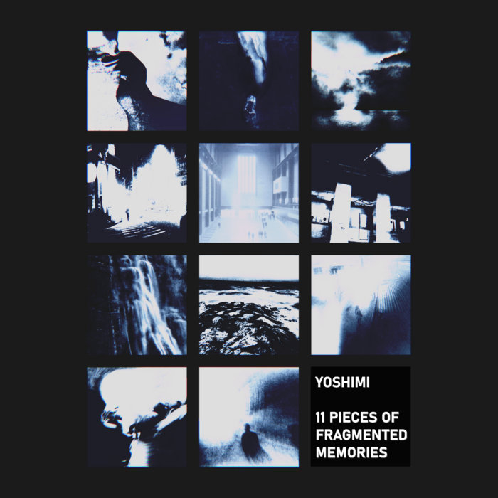 11 Pieces Of Fragmented Memories | Yoshimi | Dream Catalogue